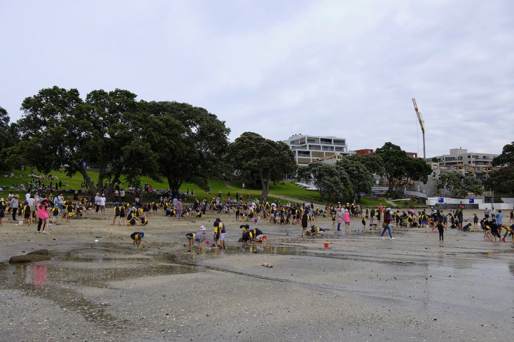 School Life – Takapuna Primary School